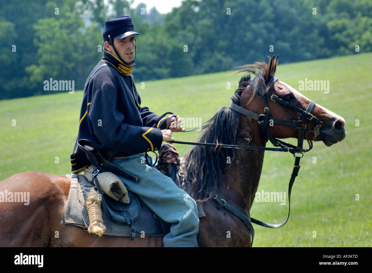 Union cavalryman Stock Photo: 7897548 - Alamy