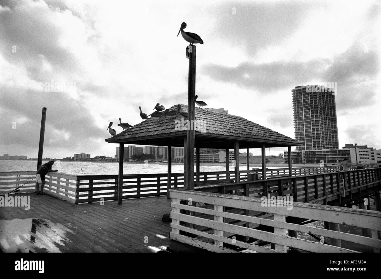 Fishing off a pier in Miami Florida USA Stock Photo - Alamy