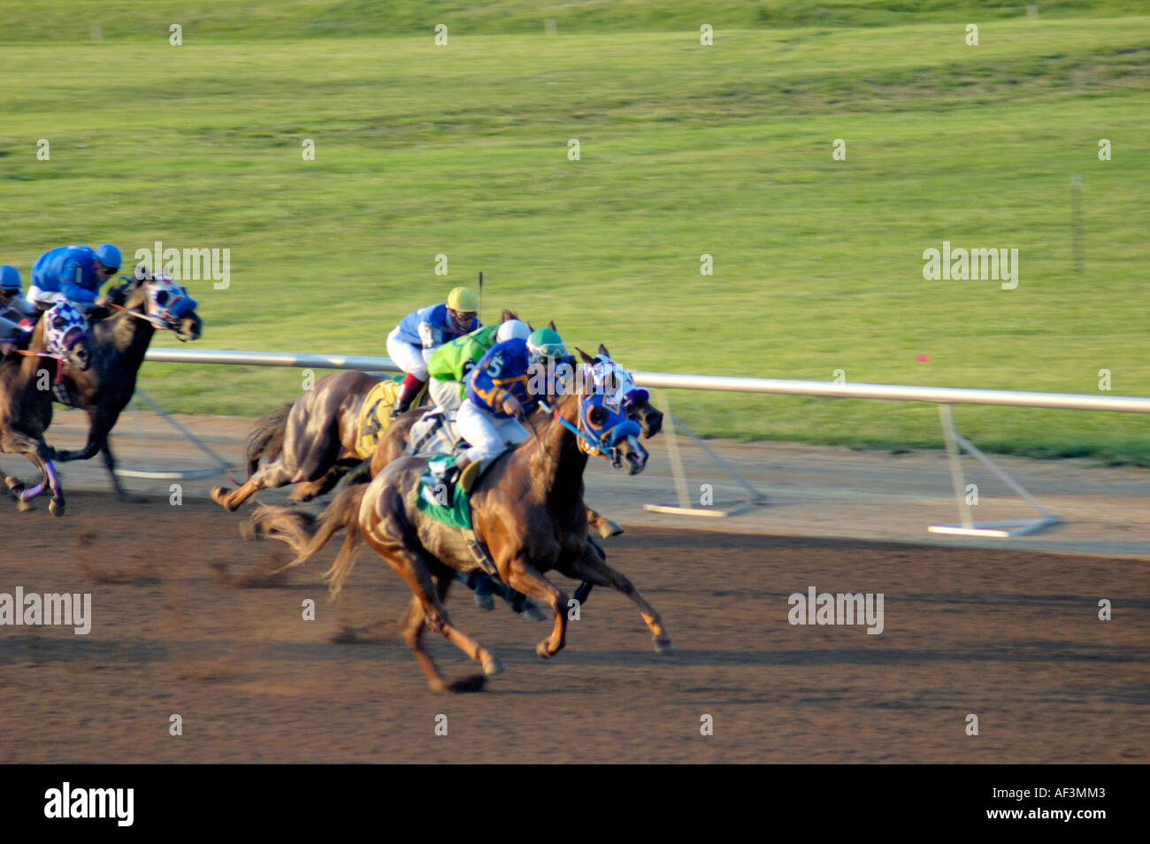 Horses racing at the annual quarter Horse races at the Red Mile track ...