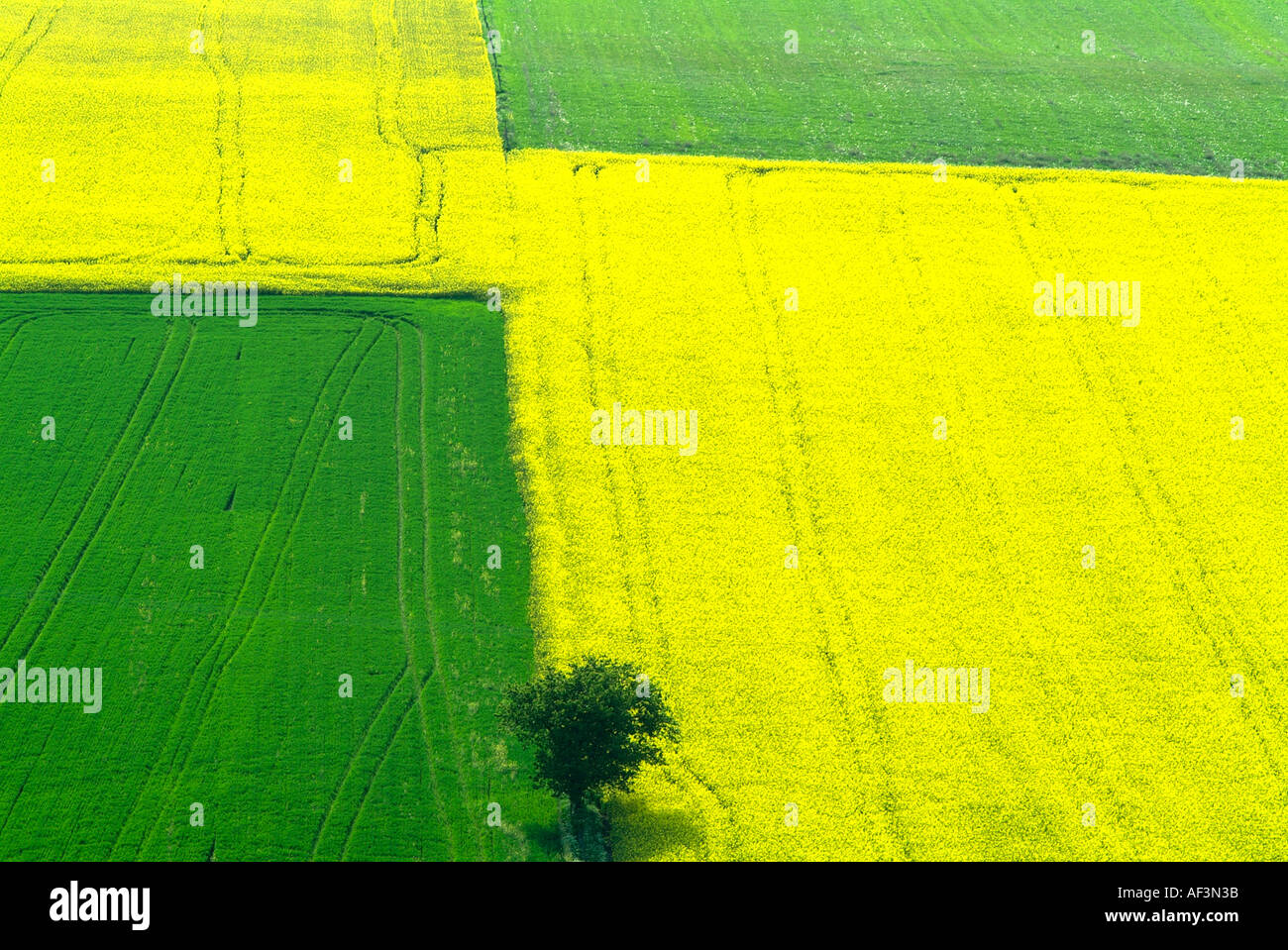 Farm fields Sweden Stock Photo - Alamy