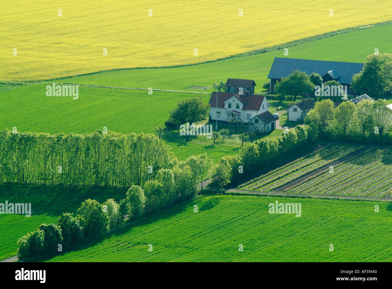 Farm fields Sweden Stock Photo - Alamy
