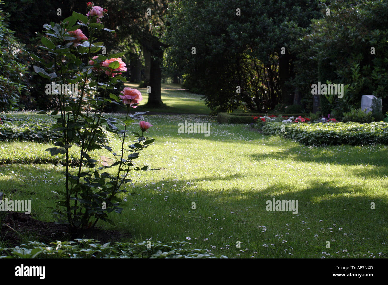 Friedhof ohlsdorf hi-res stock photography and images - Alamy