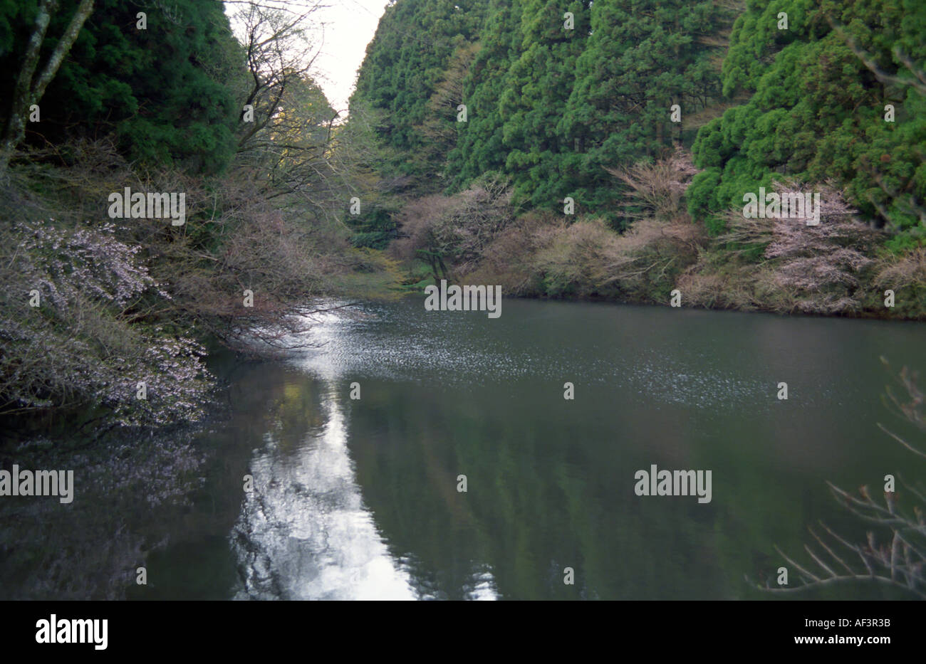 Tranquil lake ashi hi-res stock photography and images - Alamy