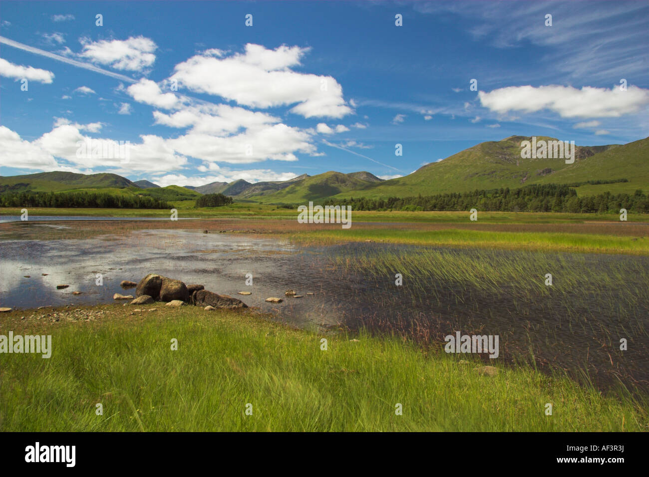 Loch Tulla in Summer Stock Photo - Alamy