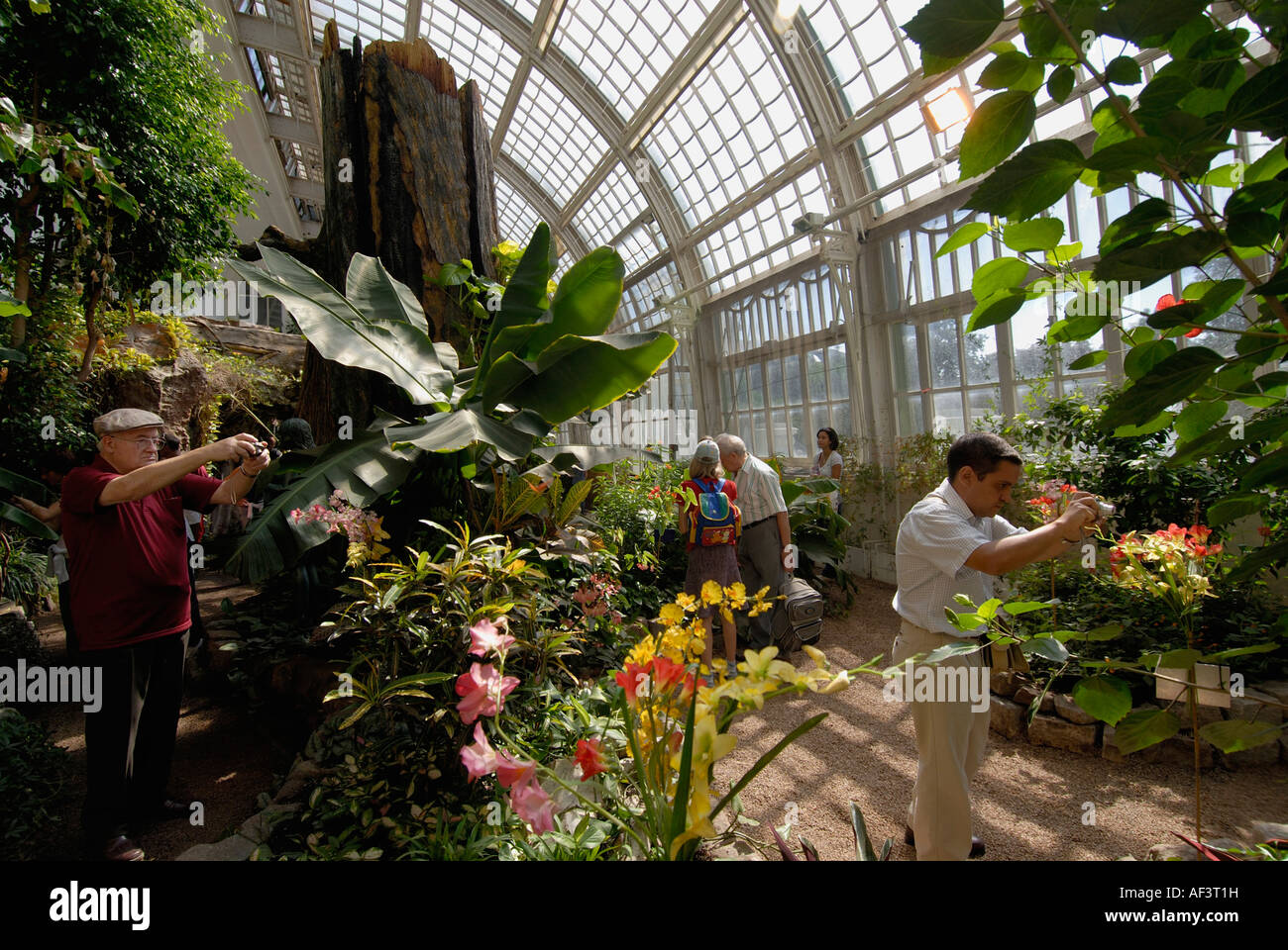 Vienna imperial butterfly house hi-res stock photography and images - Alamy