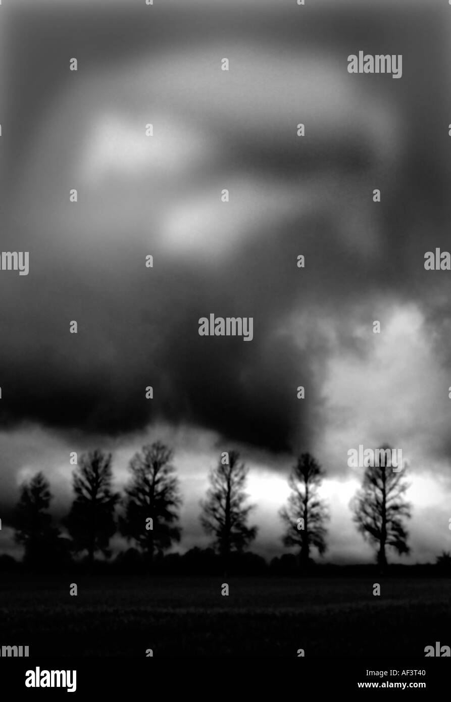 dark countryside tree Stock Photo - Alamy