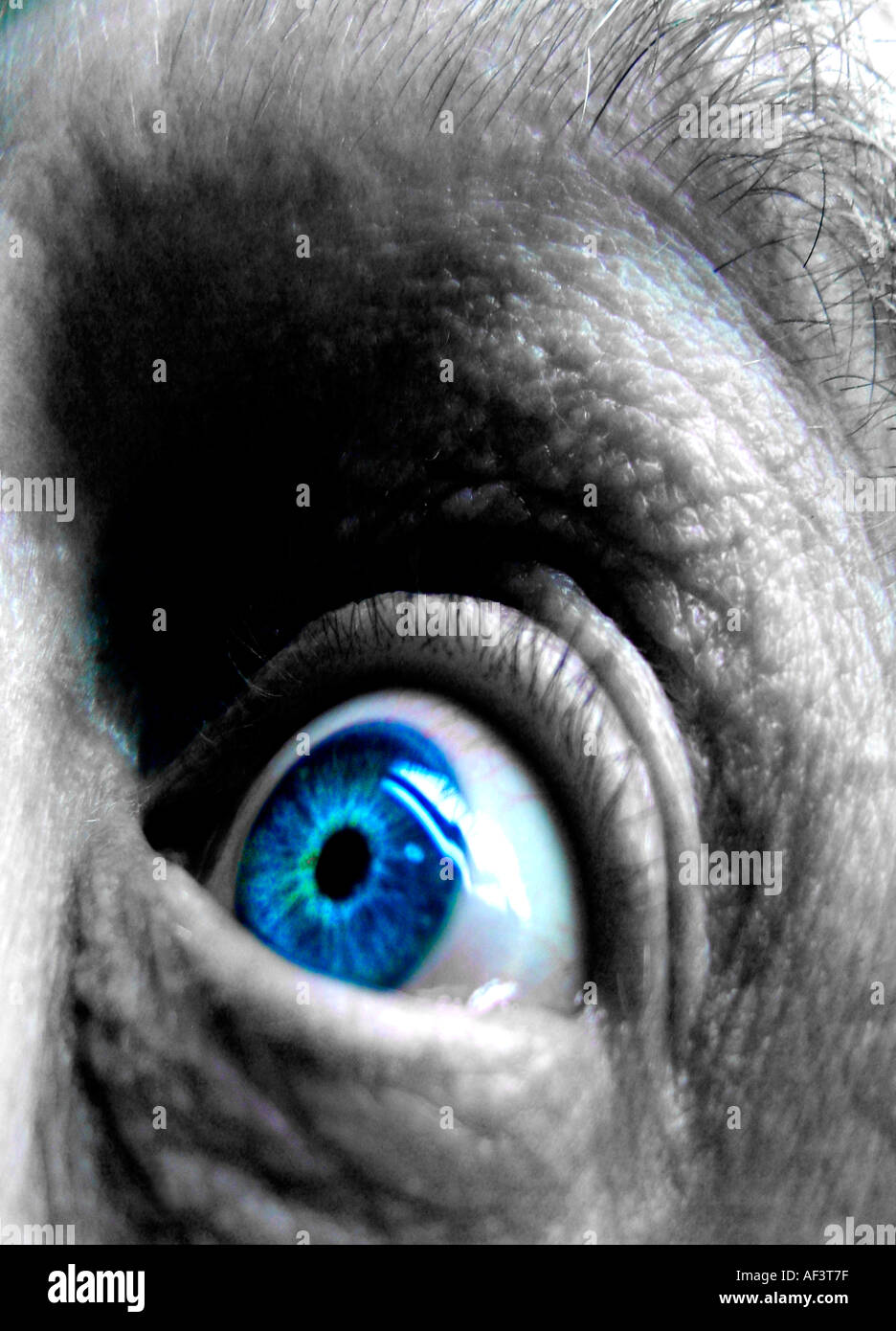 Scared eye hi-res stock photography and images - Alamy