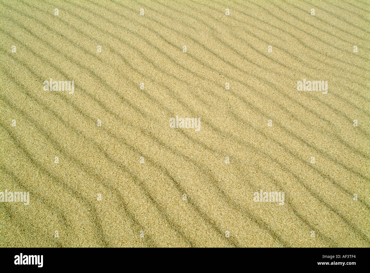Patterns in sand Sweden Stock Photo - Alamy