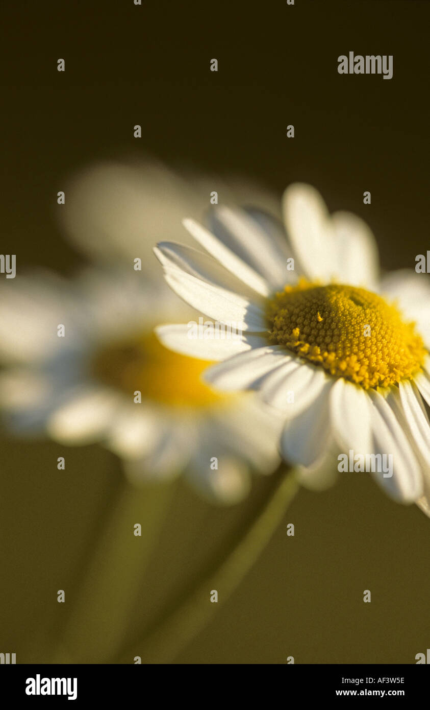 Sleep inducing hi-res stock photography and images - Alamy