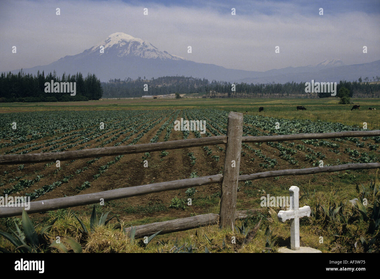 Ecuador valley of the volcanoes Stock Photo - Alamy