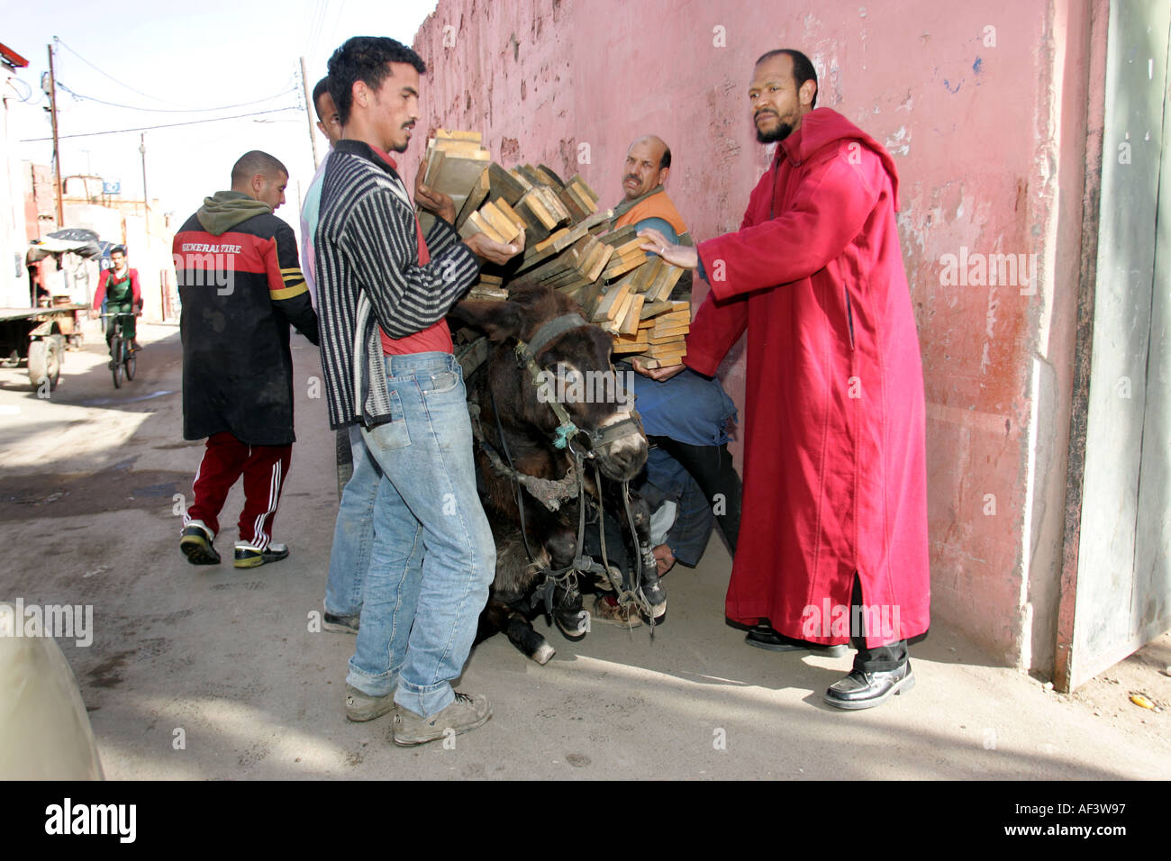 an exhausted donkey in marrakech Stock Photo - Alamy