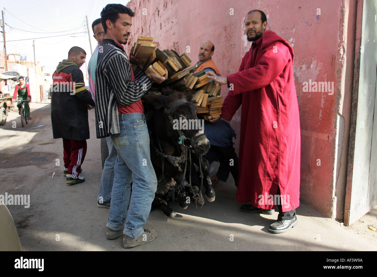 an exhausted donkey in marrakech Stock Photo - Alamy