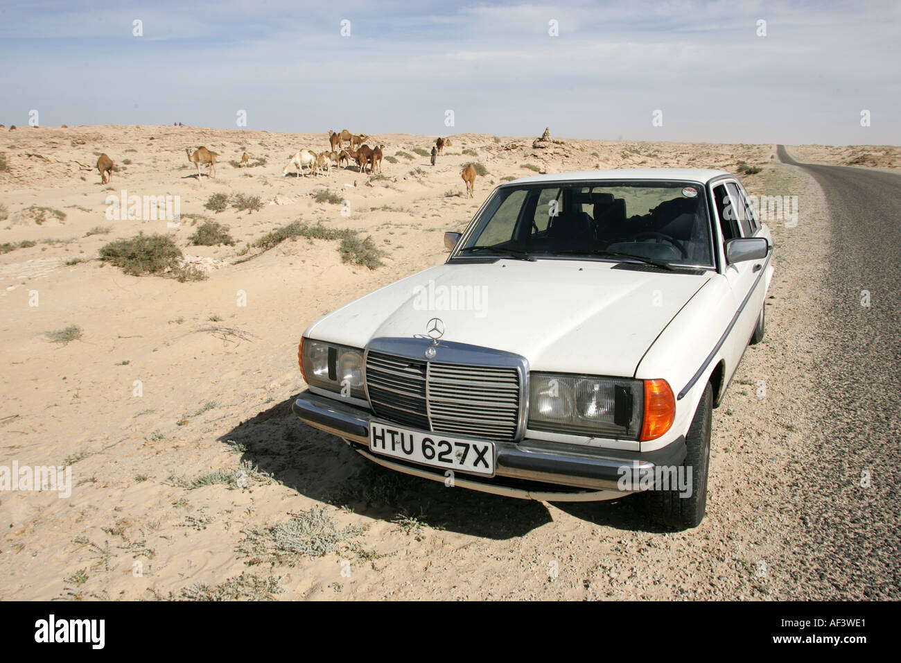 a mercedes 230e crossing the sahara desert Stock Photo - Alamy