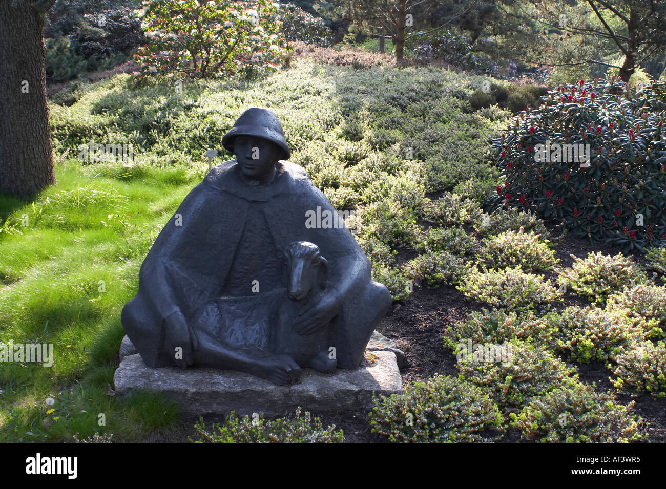 Shepherd and heath Stock Photo - Alamy
