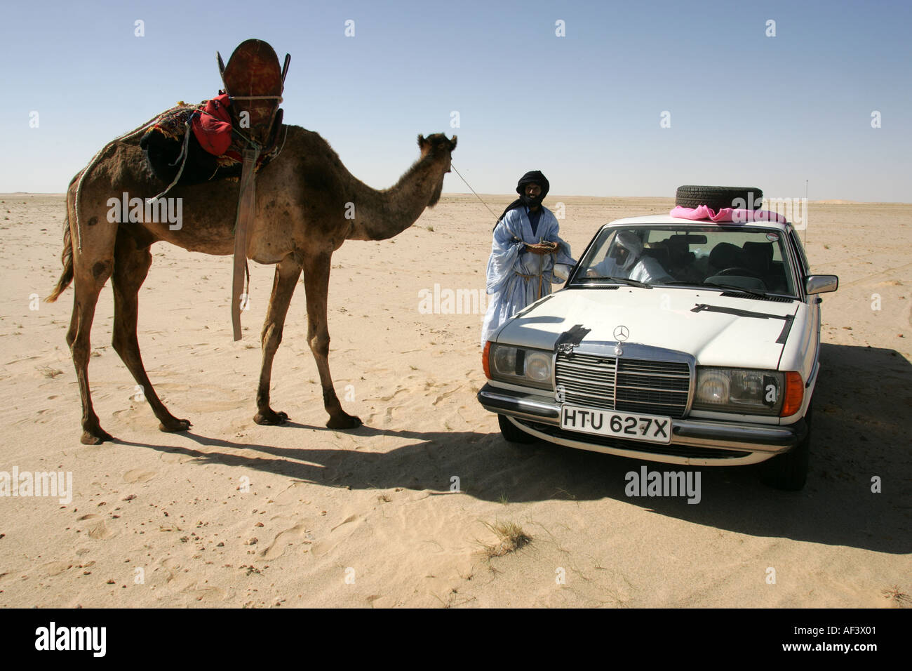 a mercedes 230e crossing the sahara desert Stock Photo - Alamy