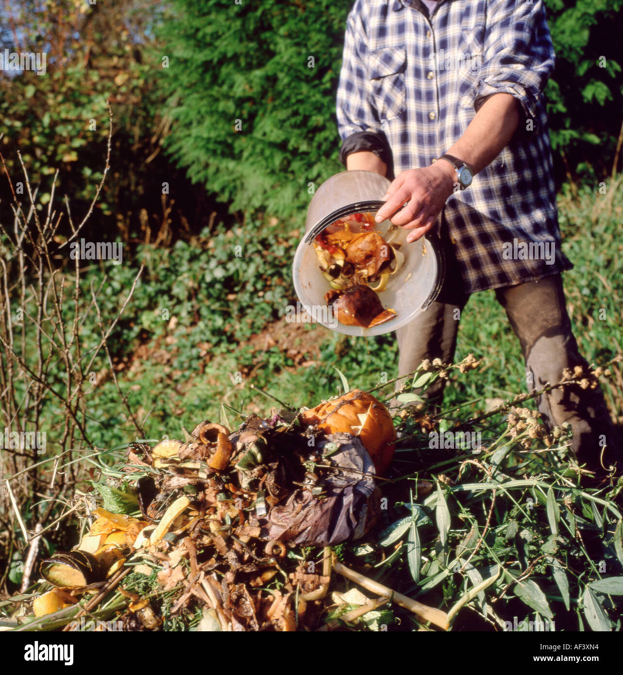 A man tipping a bucket of vegetable waste composting onto a garden ...