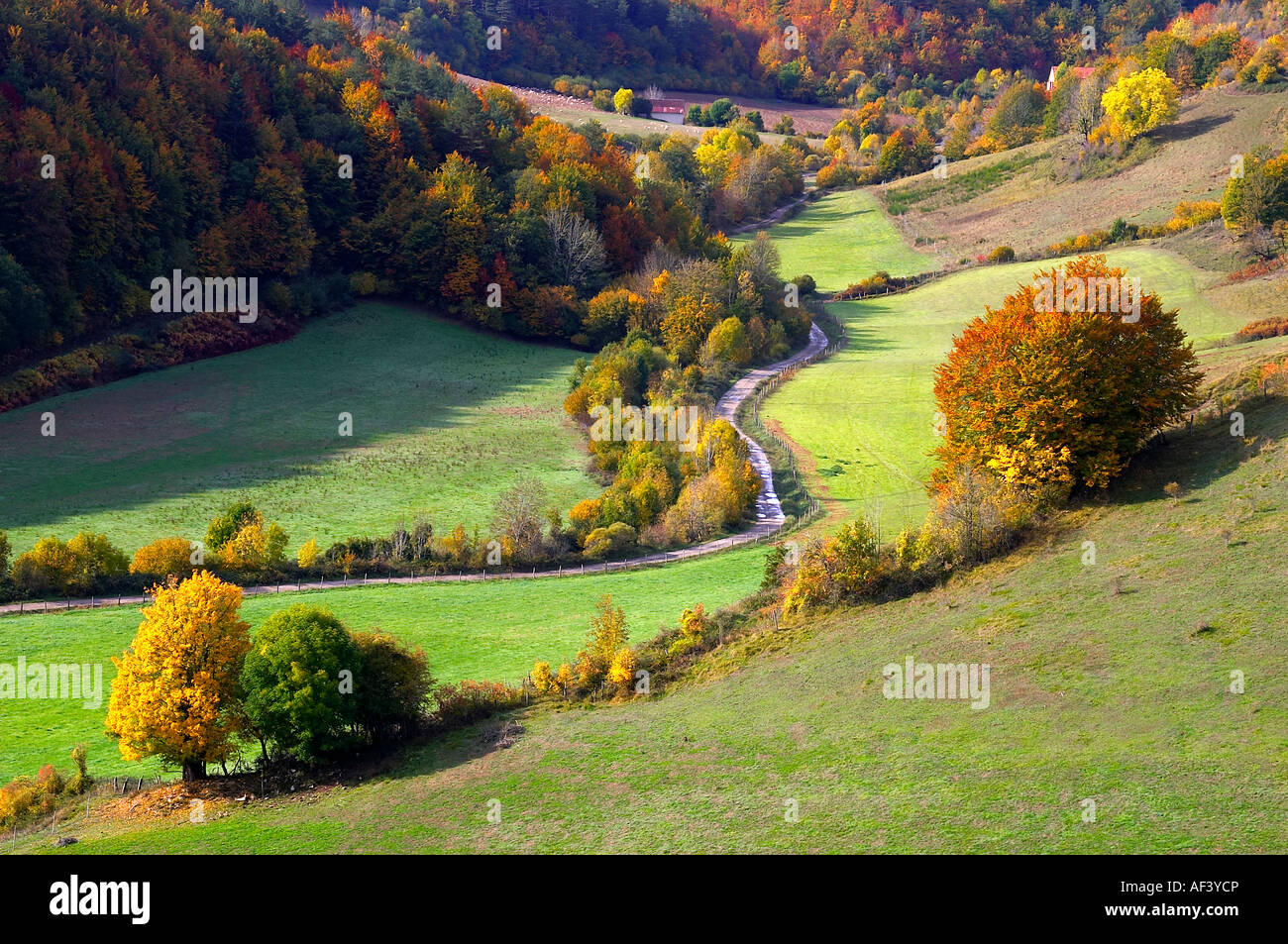 Hoja de carretera hi-res stock photography and images - Alamy