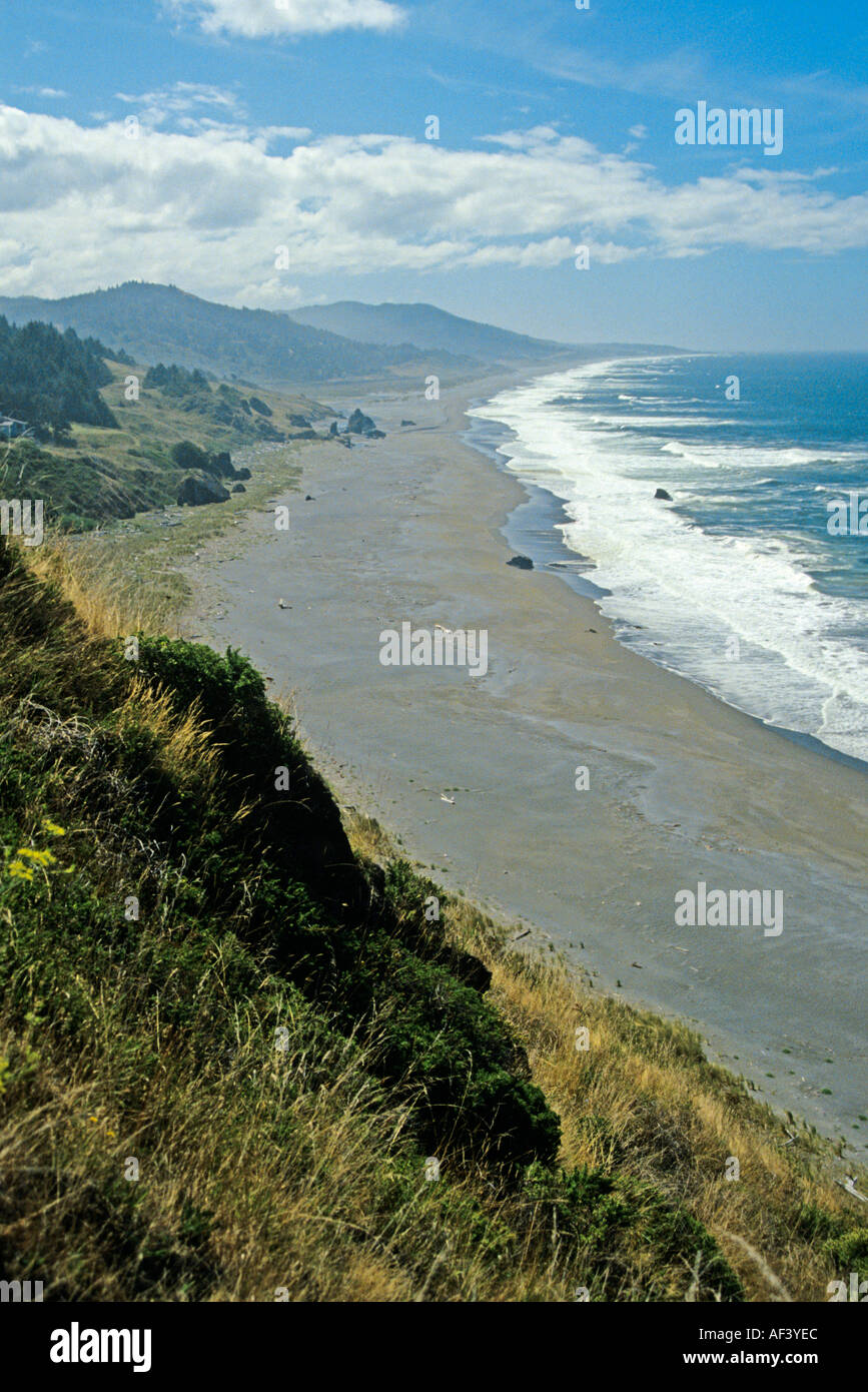 Shore dunes hi-res stock photography and images - Alamy