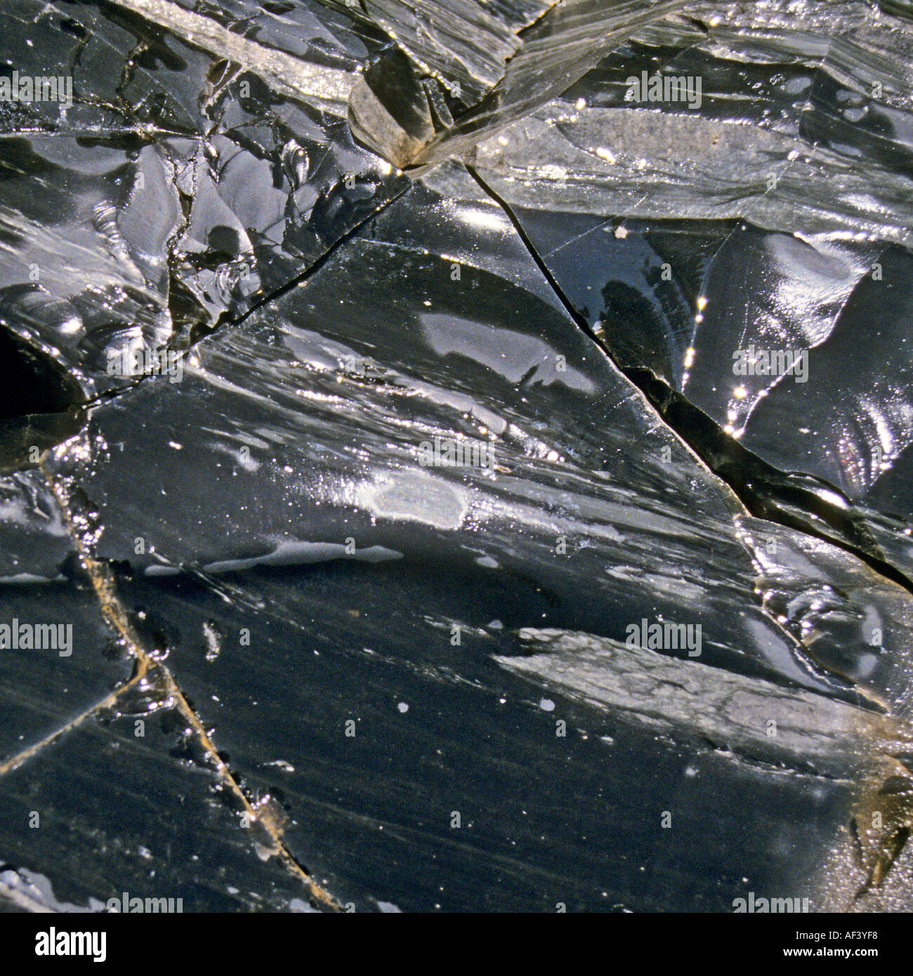 Obsidian in Newberry National Volcanic Monument Deschutes National ...