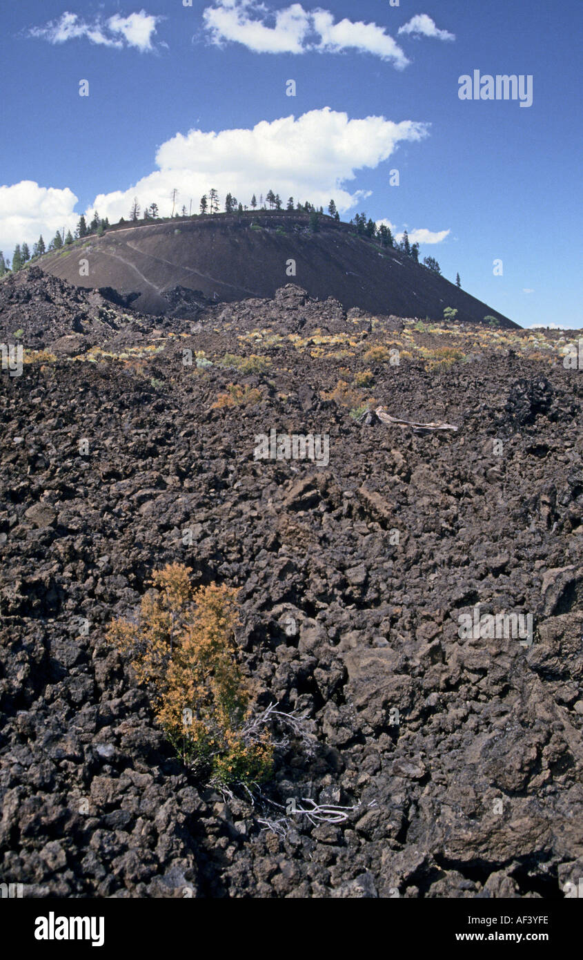Lava and cinders with cone in Newberry National Volcanic Monument ...