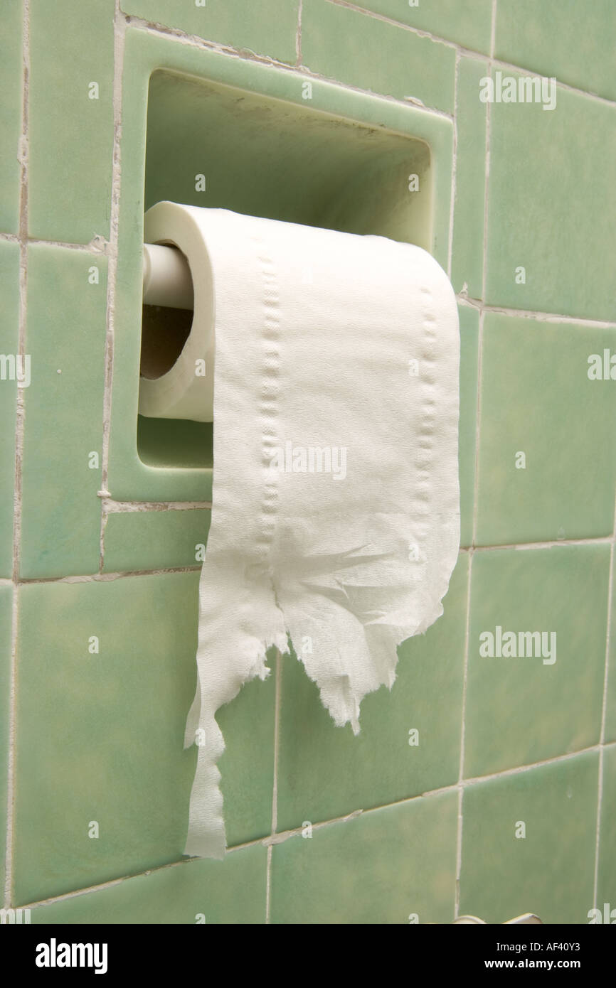 Torn toilet roll on holder Stock Photo - Alamy
