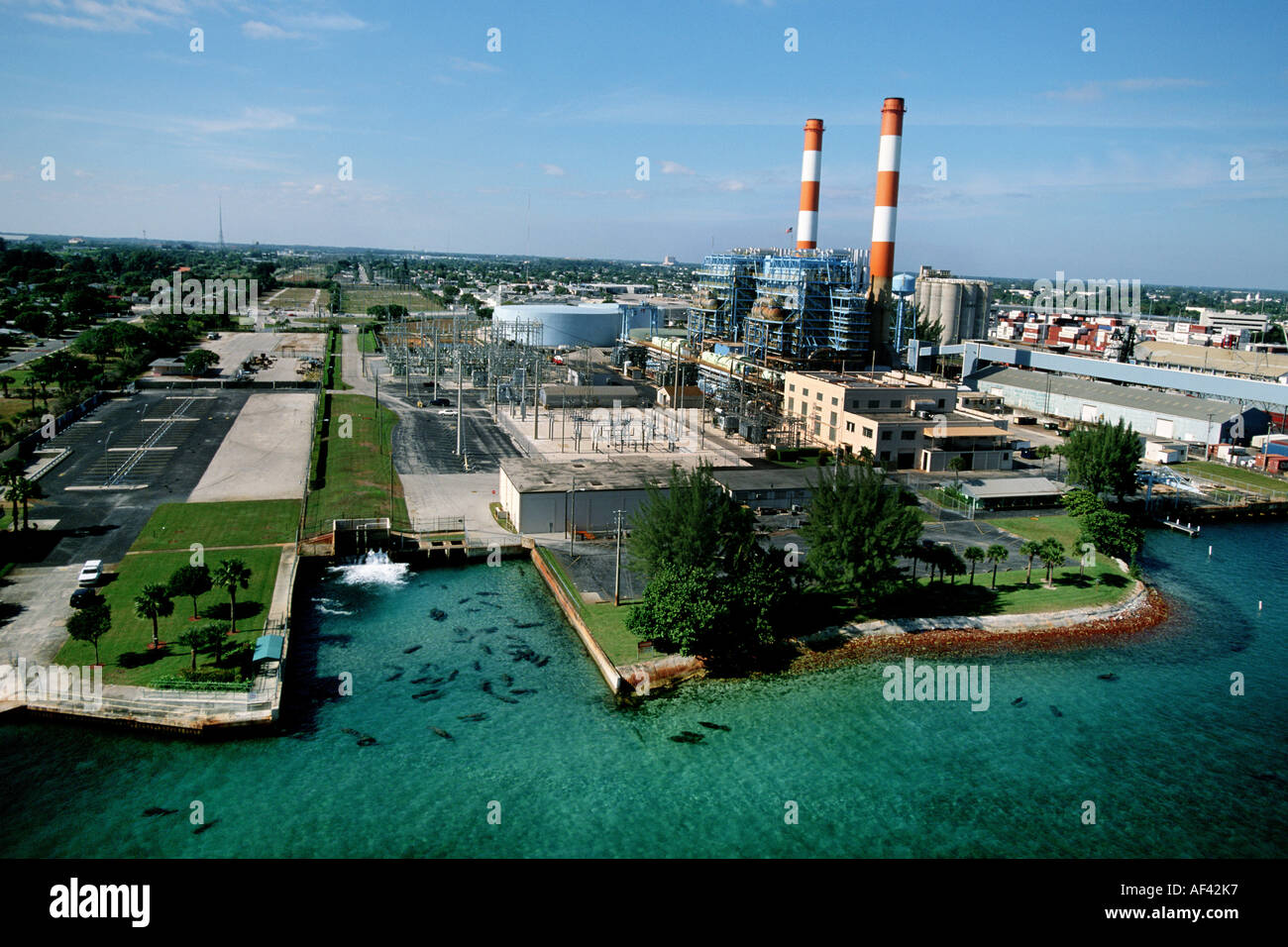 Florida manatee aerial hi-res stock photography and images - Alamy