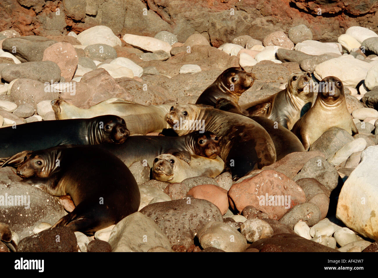 Vwpics hi-res stock photography and images - Alamy