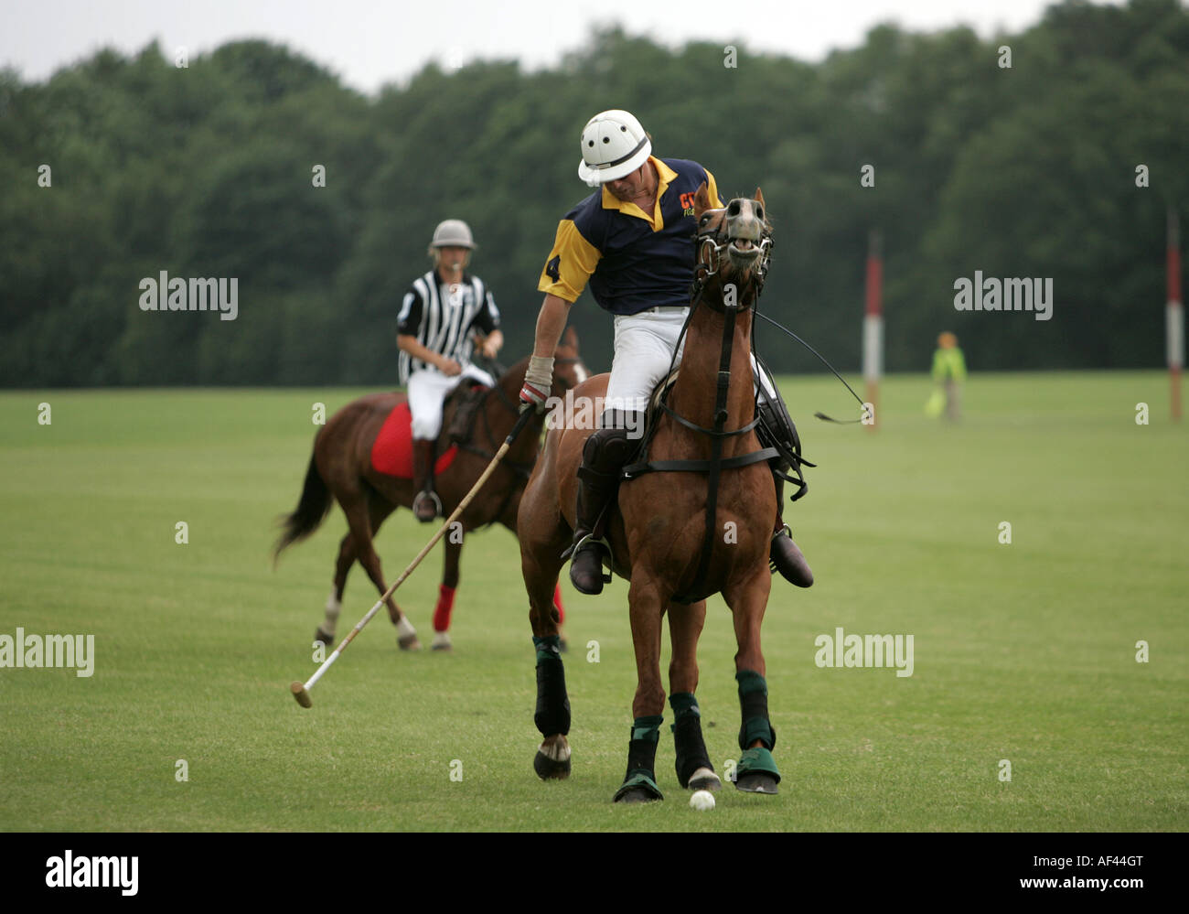 Female polo player in action hi-res stock photography and images - Alamy