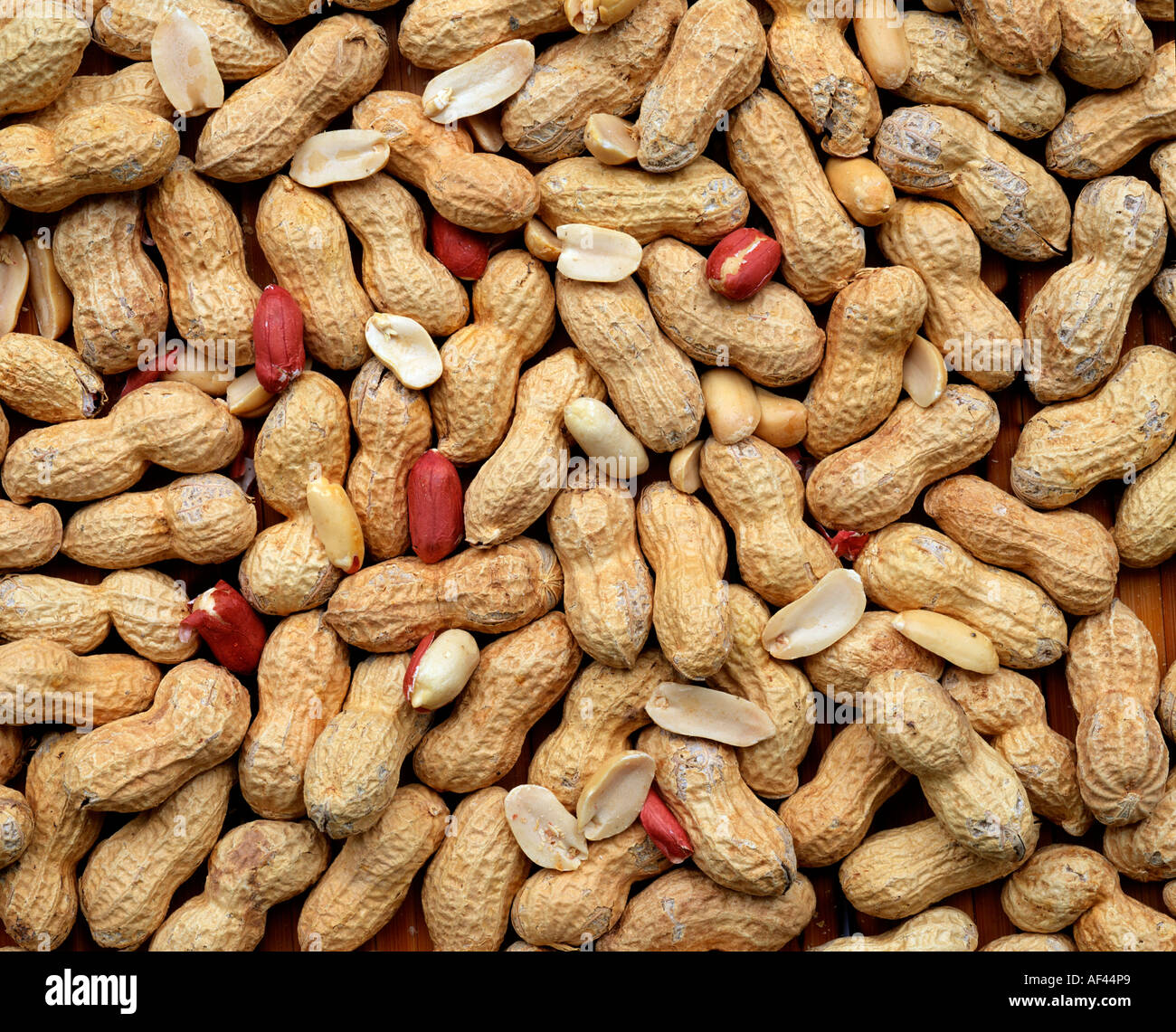 Peanuts / (Arachis hypogaea) / Peanut Stock Photo - Alamy