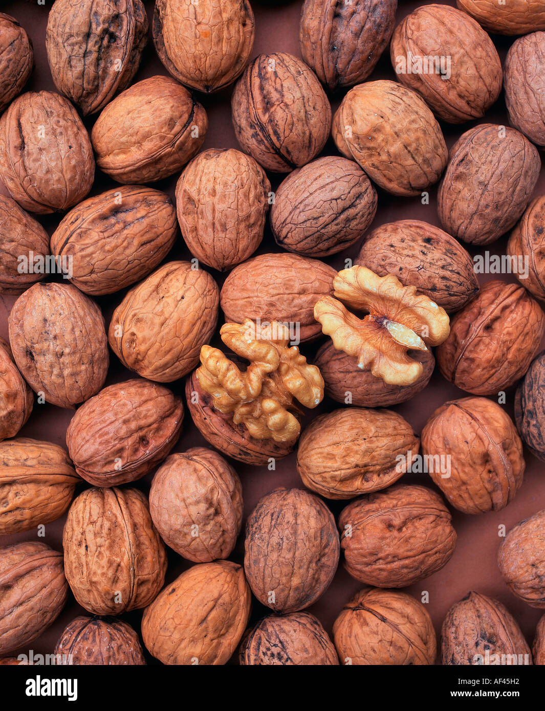 Walnut fruits / (Junglans regia Stock Photo - Alamy