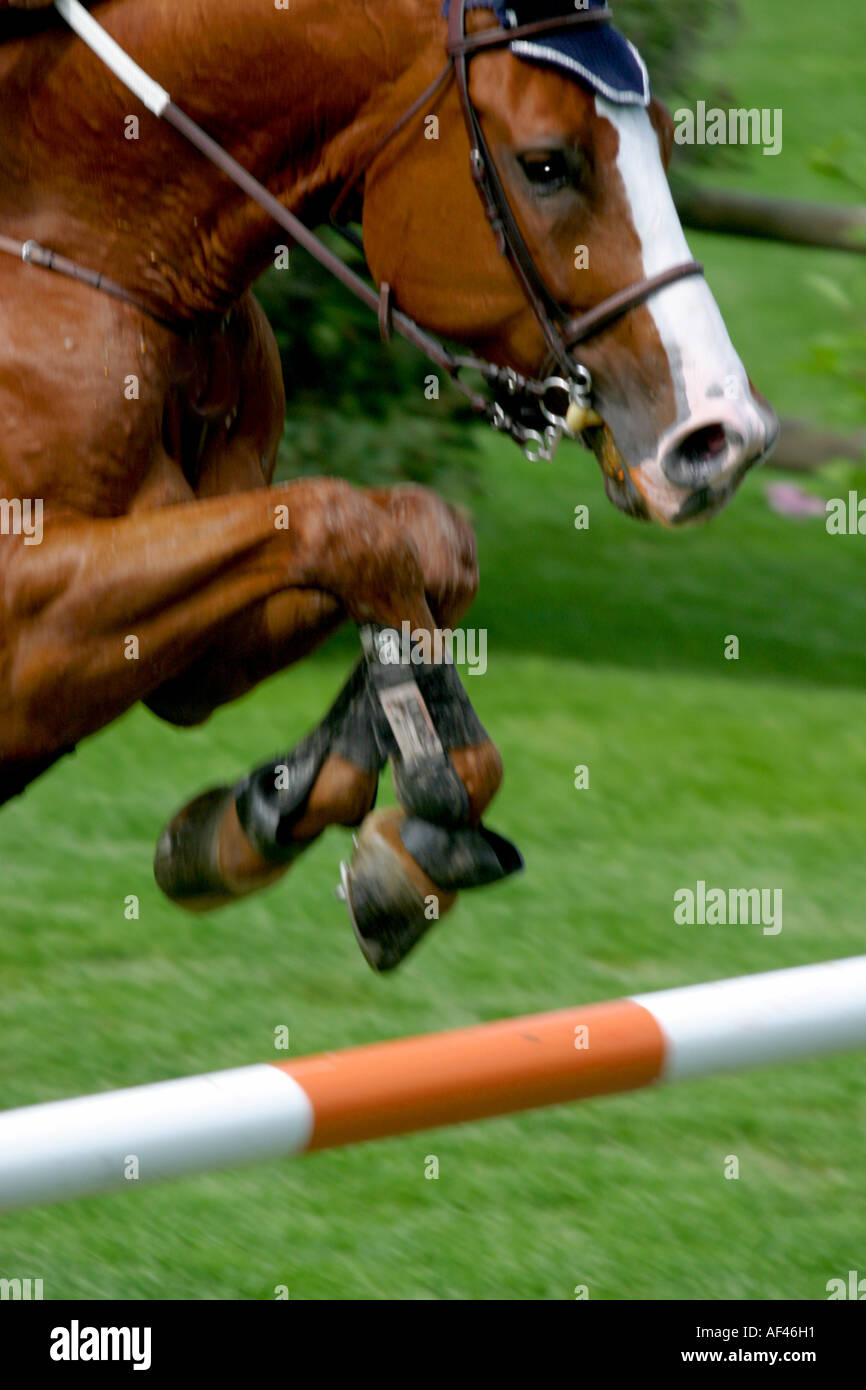HORSES SHOW JUMPING Spruce Meadows Calcary, Alberta, Canada Stock Photo ...