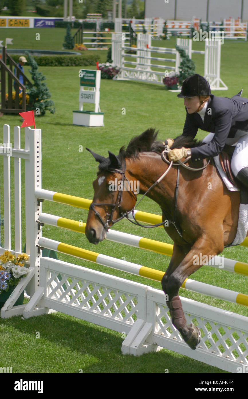 HORSES SHOW JUMPING Stock Photo - Alamy