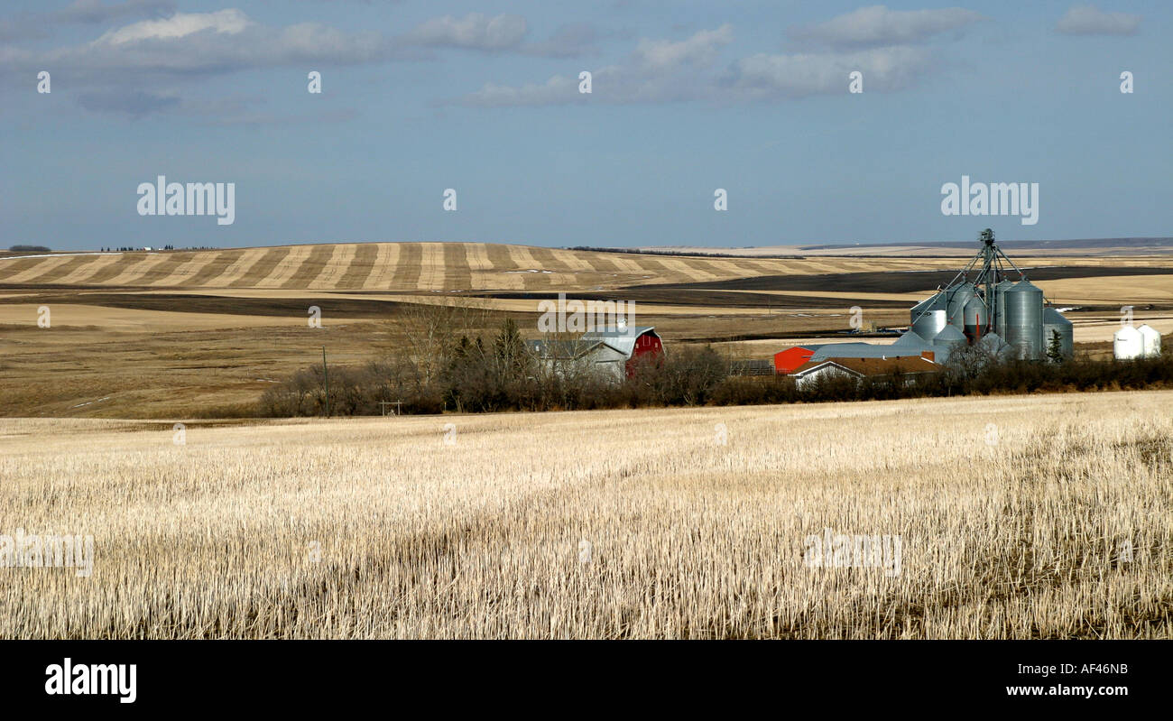 Flat prairie land hi-res stock photography and images - Alamy