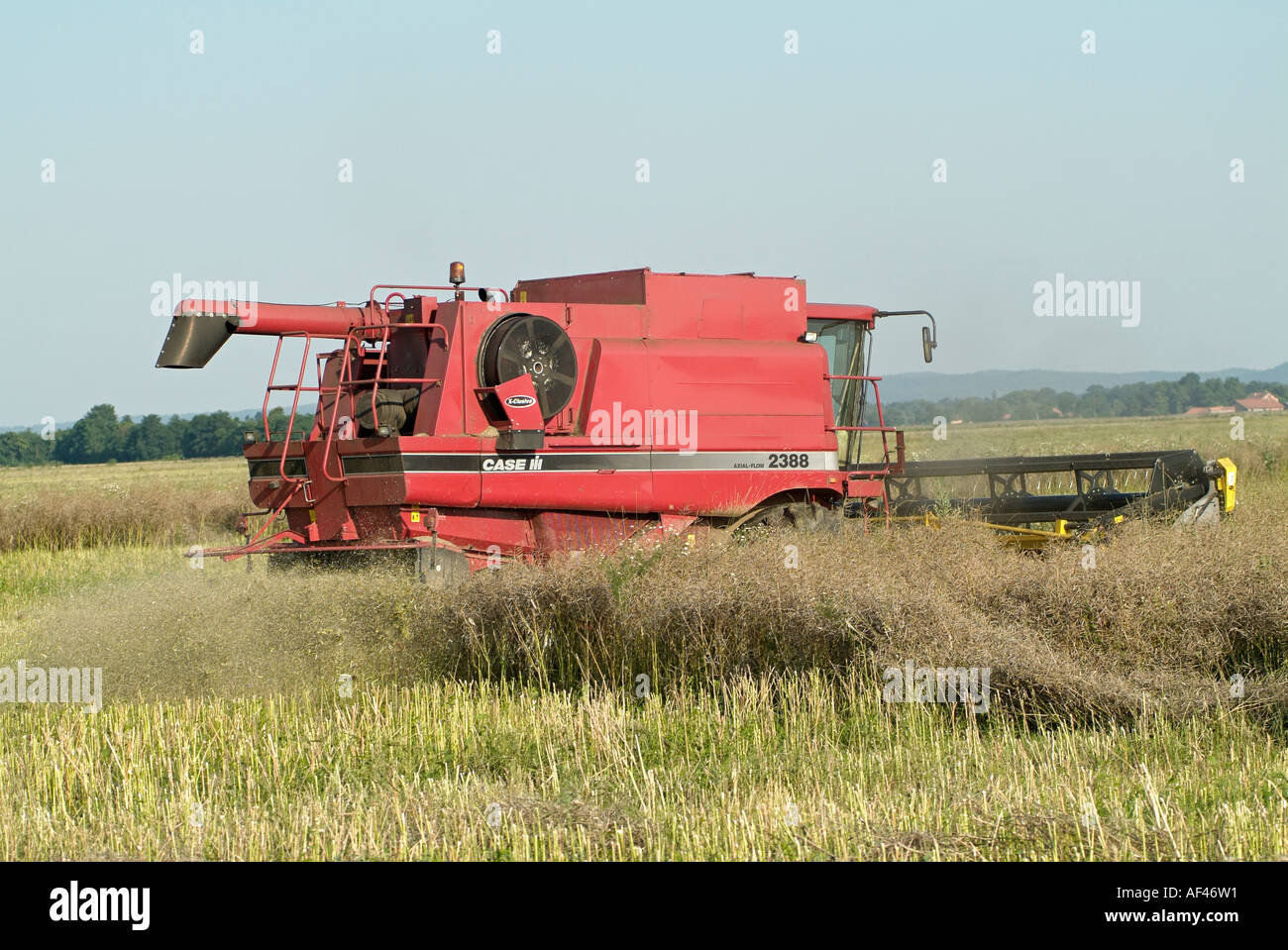 Combine Harvester Cutting a Field of Canola Oil Seed Stock Photo - Alamy