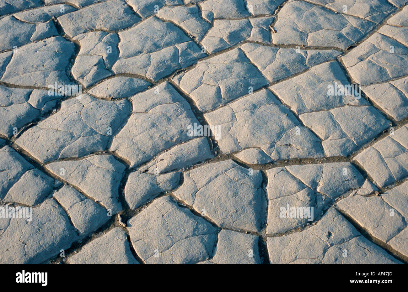 Dried-out Earth, Death Valley, California, USA Stock Photo - Alamy