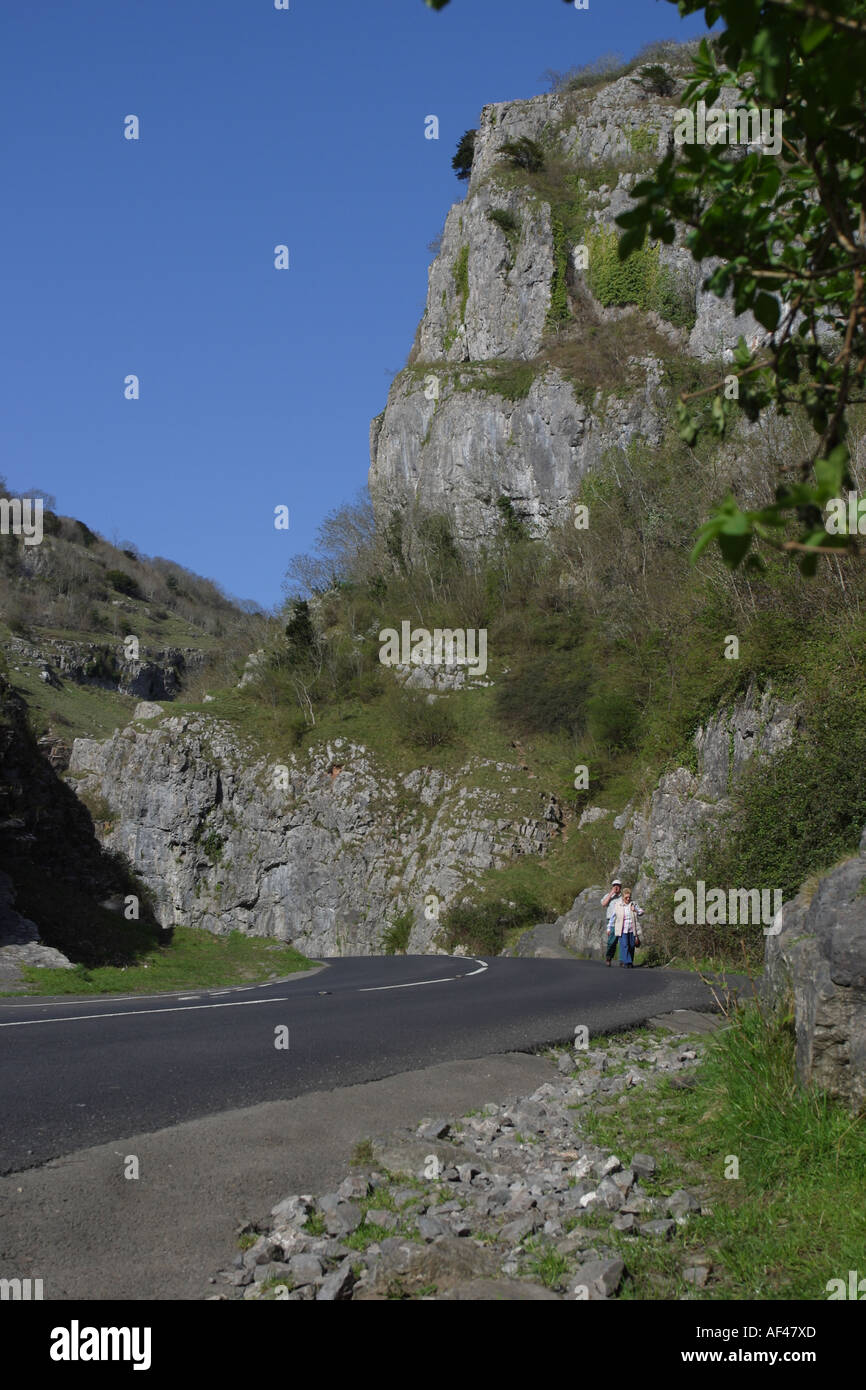 Cheddar Gorge Britains largest gorge with sightseeing walkers Cheddar ...