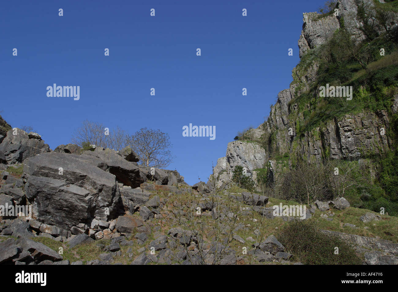 Cheddar Gorge steep sided cliff and large fallen rocks Cheddar Somerset ...