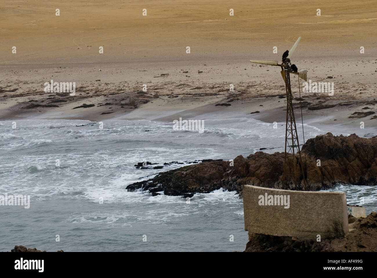 Kpcofgs wind turbine turkey vultures cathartes aura paracas national ...