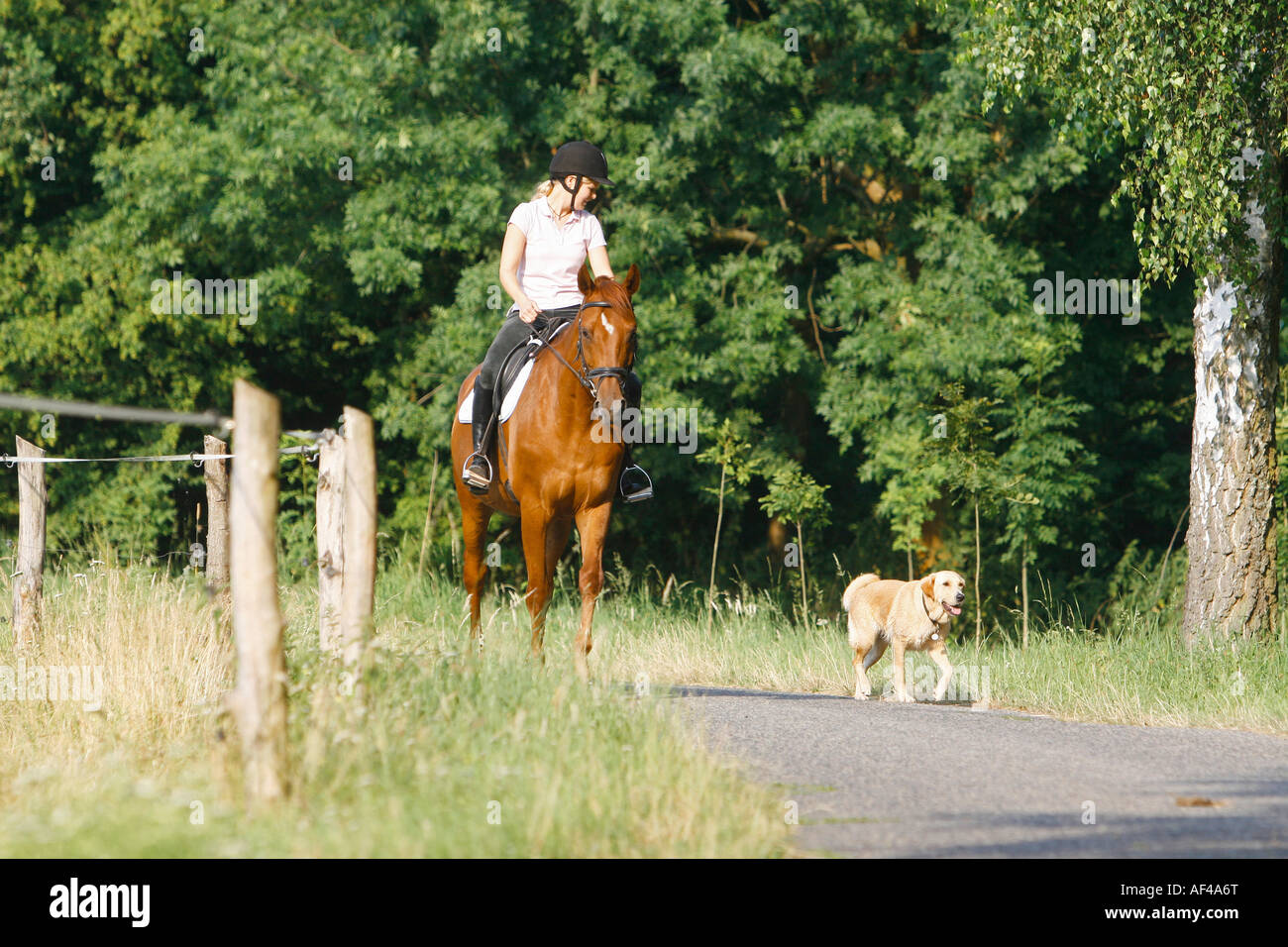 Riding a dog hi-res stock photography and images - Alamy