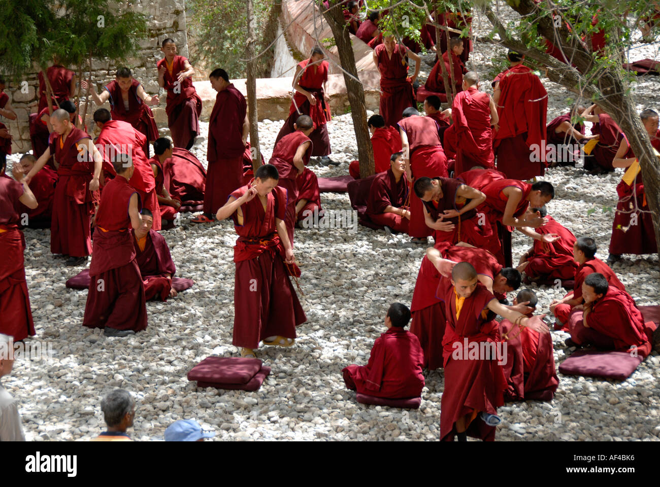 Buddhist monk wearing red robes hi-res stock photography and images - Alamy