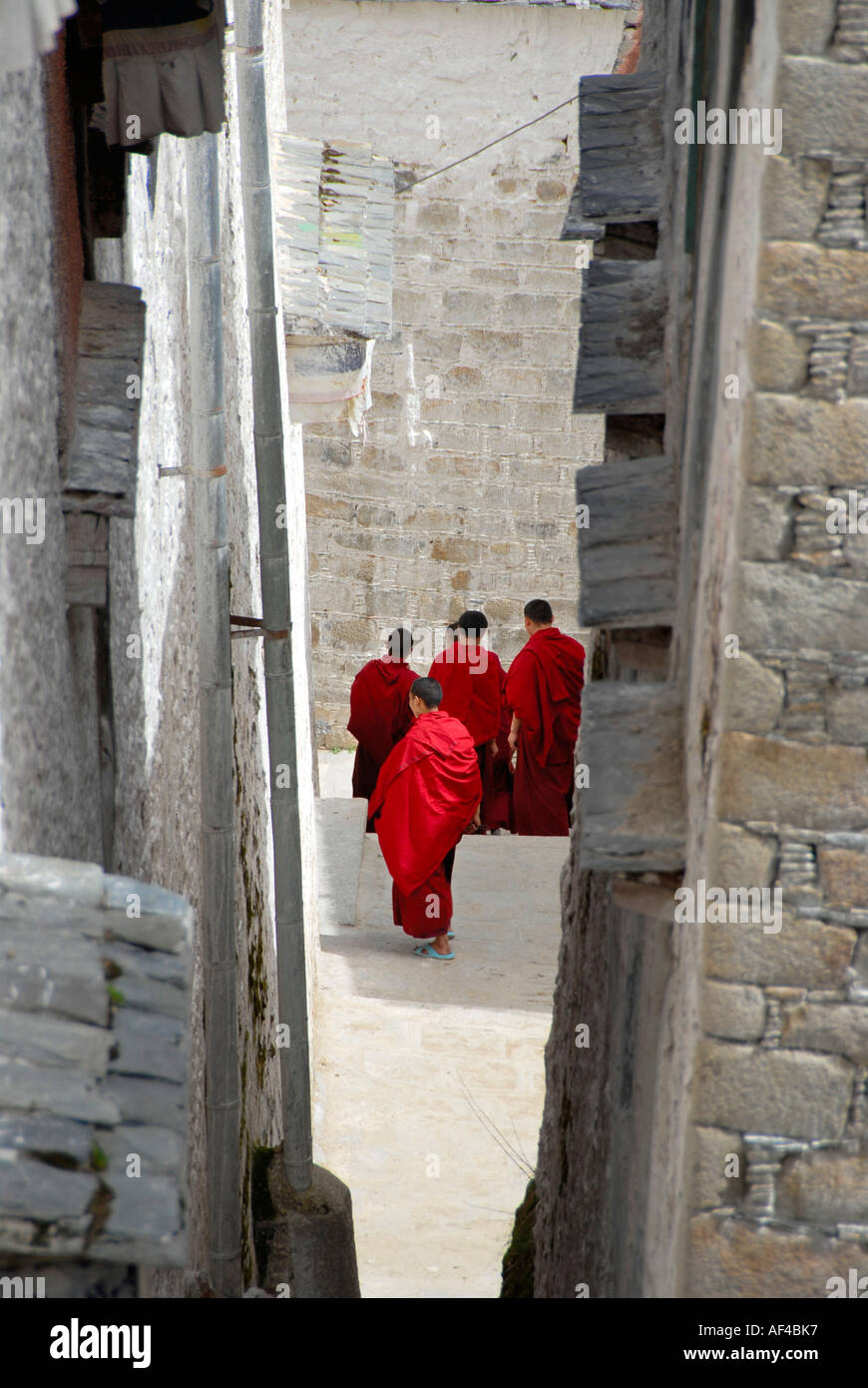 Buddhist monks dressed in red robes between grey walls Drepung ...