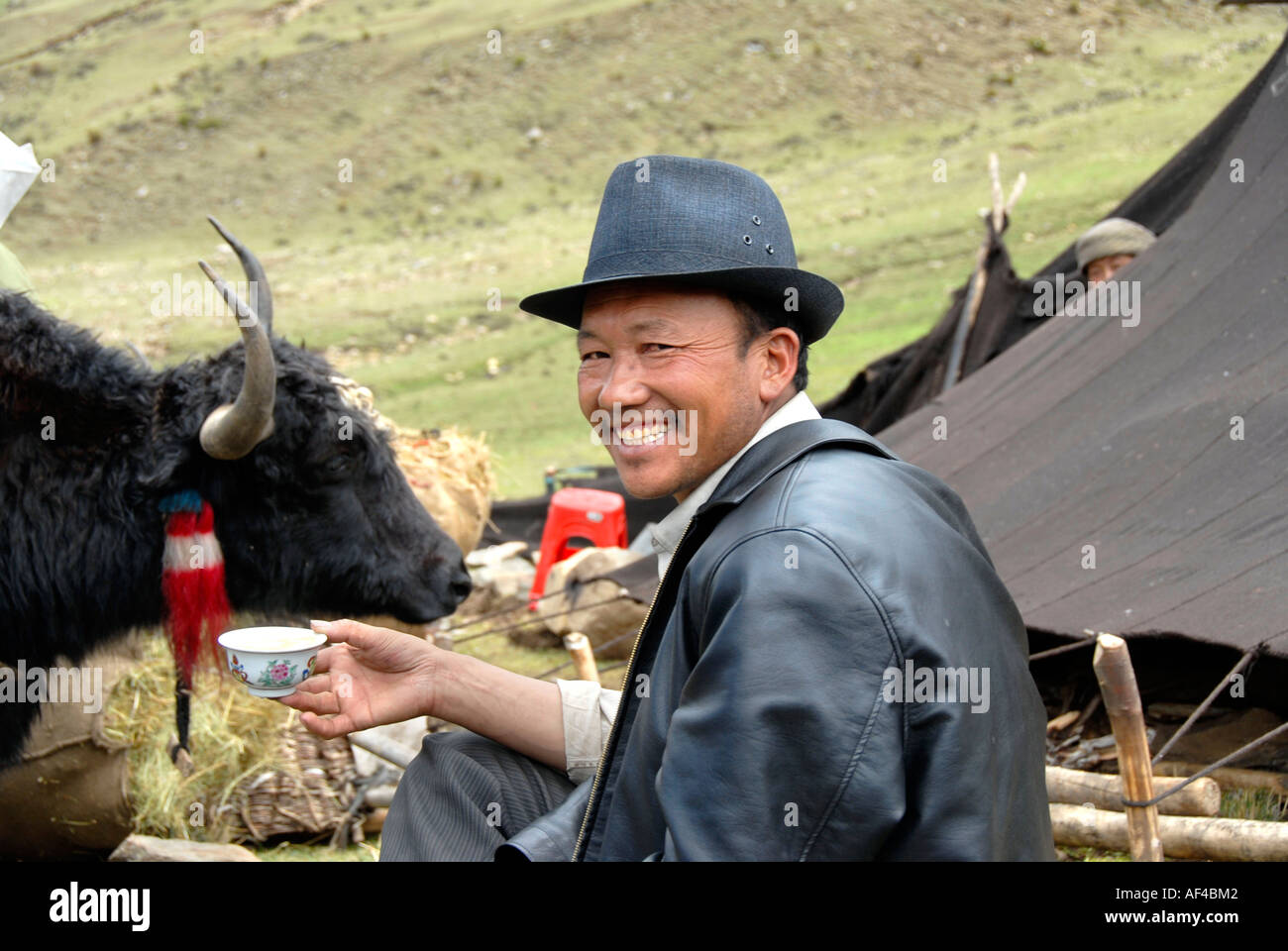Yak man wearing a hat drinks a cup of butter tea in nomadic tent camp ...