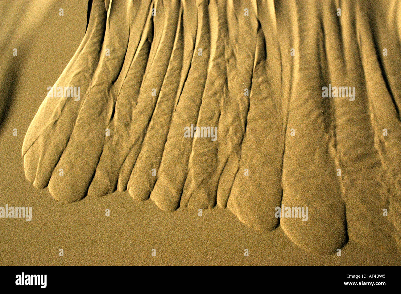 Sliding sand in Gobi Desert Khongoryn Els Gurvan Saikhan National Park ...