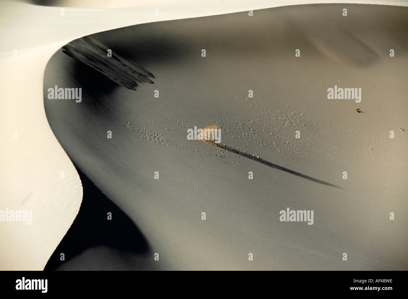 Els symbol hi-res stock photography and images - Alamy