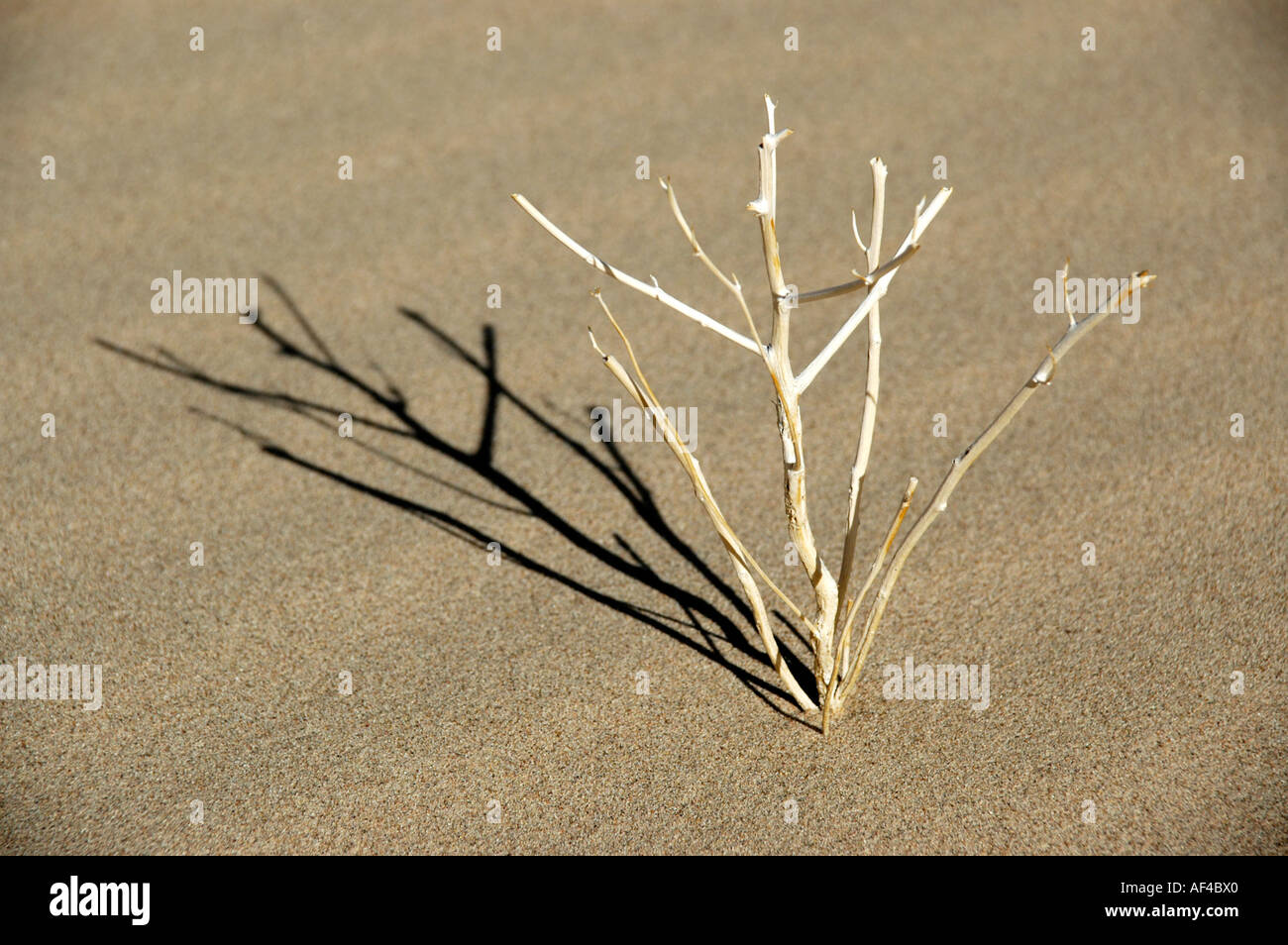 Els symbol hi-res stock photography and images - Alamy