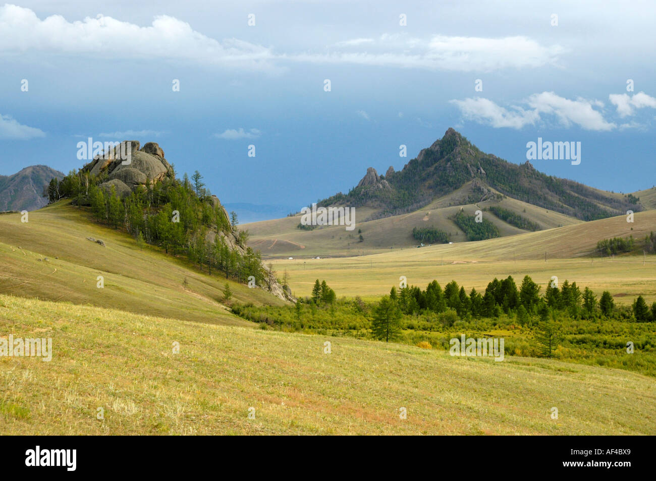 Wide open landscape with grassland forest and a dominant mountain ...
