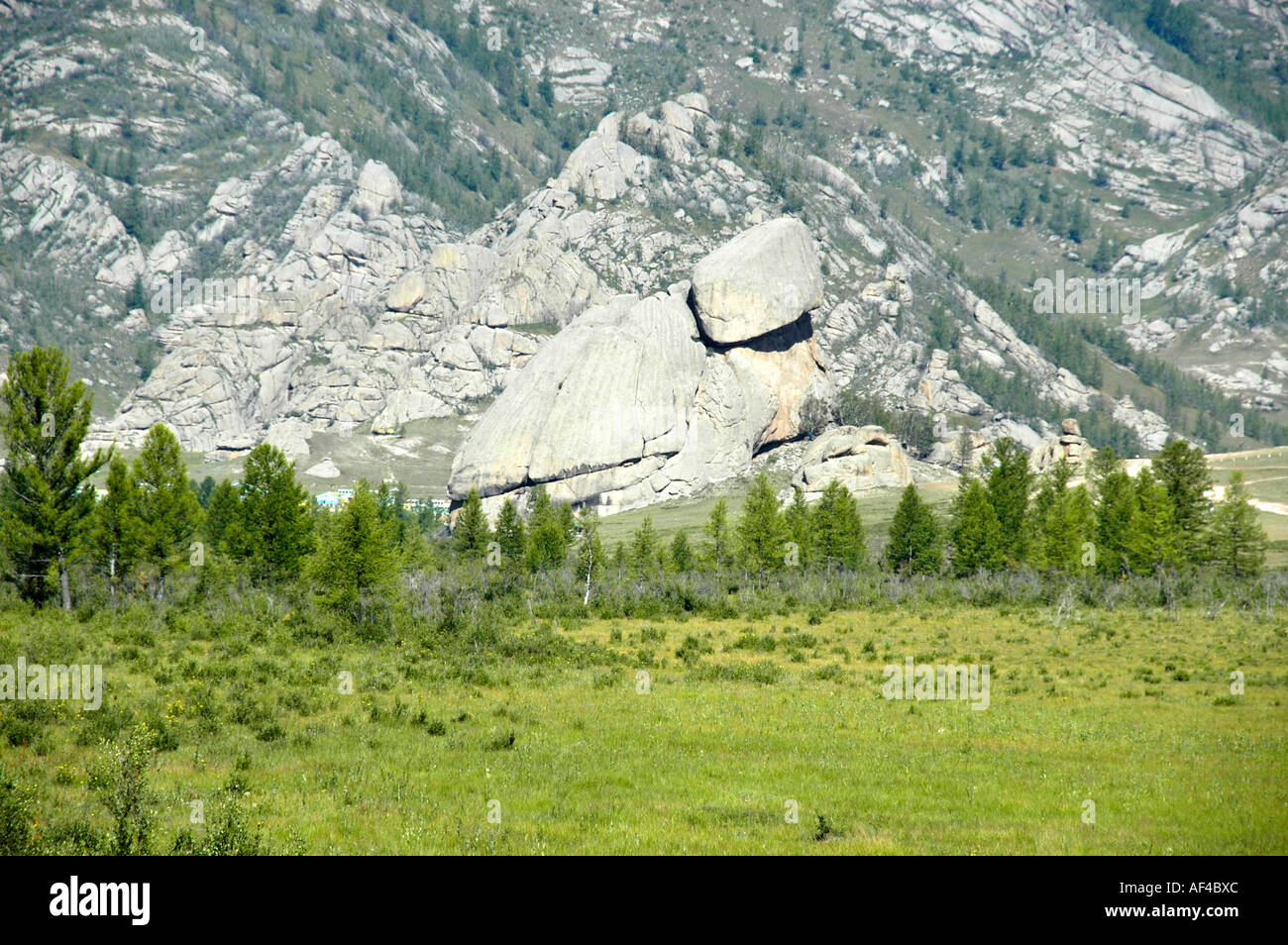 Turtle rock in the landscape Terelj National Park Mongolia Stock Photo ...
