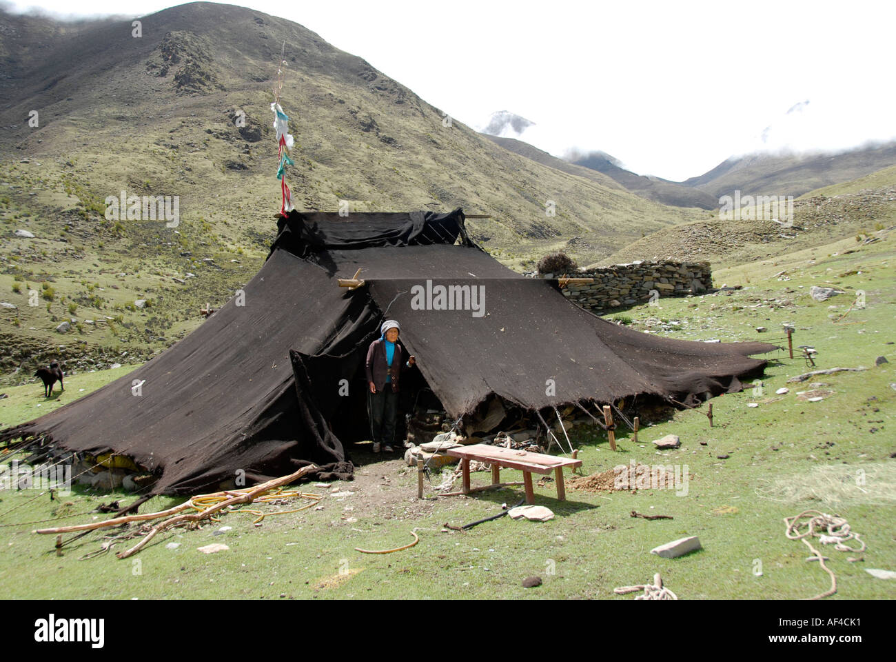 Nomads Tibetan woman in front of a nomad s tent Yama Do Tibet China ...