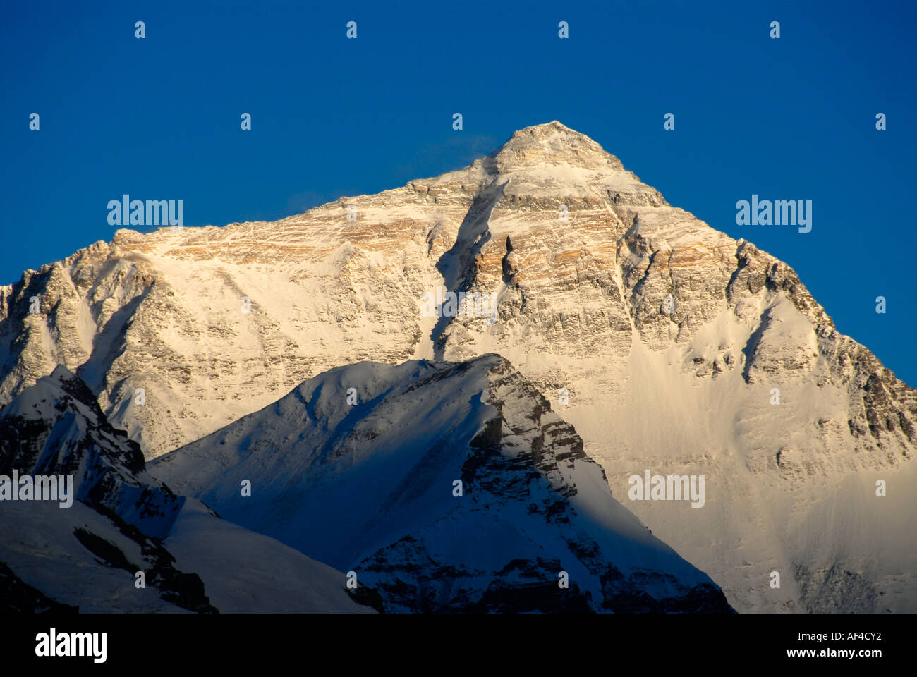 Top of Mt Everest Chomolungma in the evening light Tibet China Stock ...
