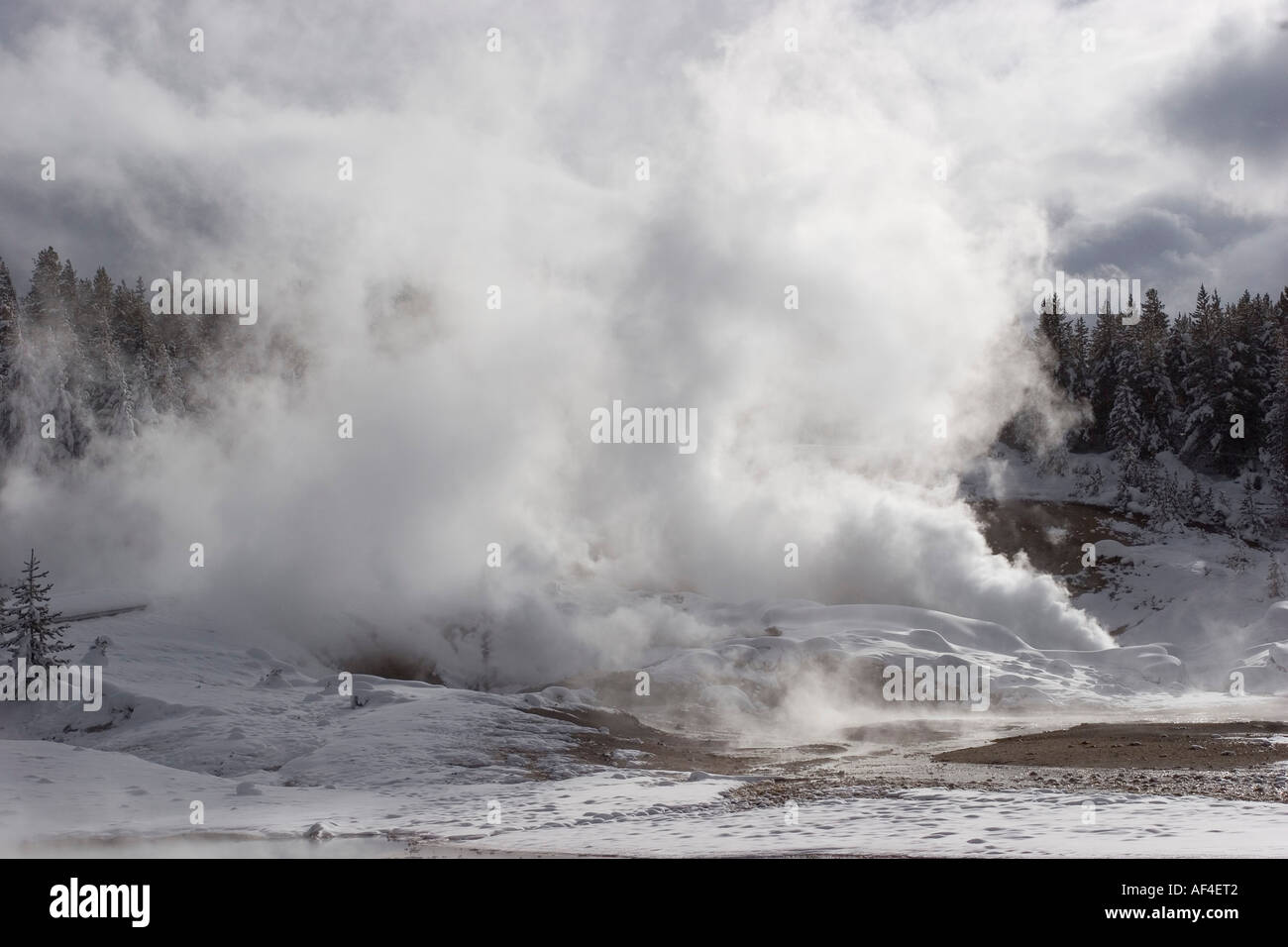Evaporating geyser steam Stock Photo - Alamy